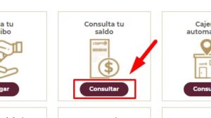 Guía completa para consultar saldo CESPT en línea fácil y rápido - saldo